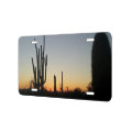 Saguaro Arizona Cactus License Plate | Zazzle