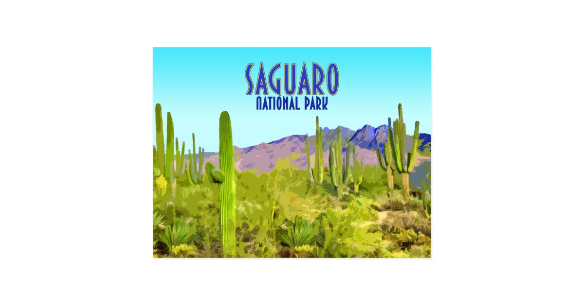 Saguaro National Park Arizona Cactus Vintage Postcard | Zazzle.com