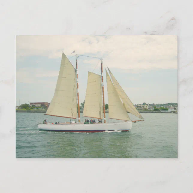 Sailing Sailboats Postcard | Zazzle