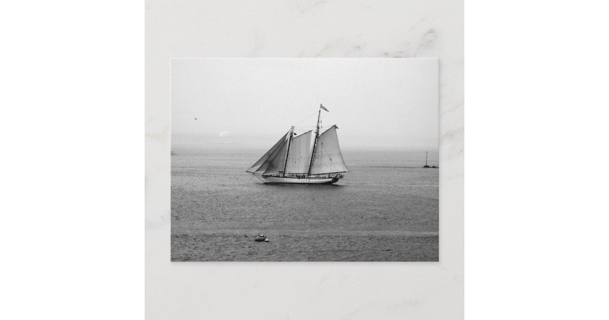 Sailing Ship Postcard | Zazzle