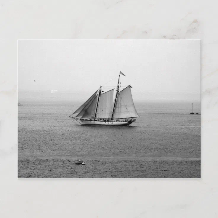 Sailing Ship Postcard | Zazzle