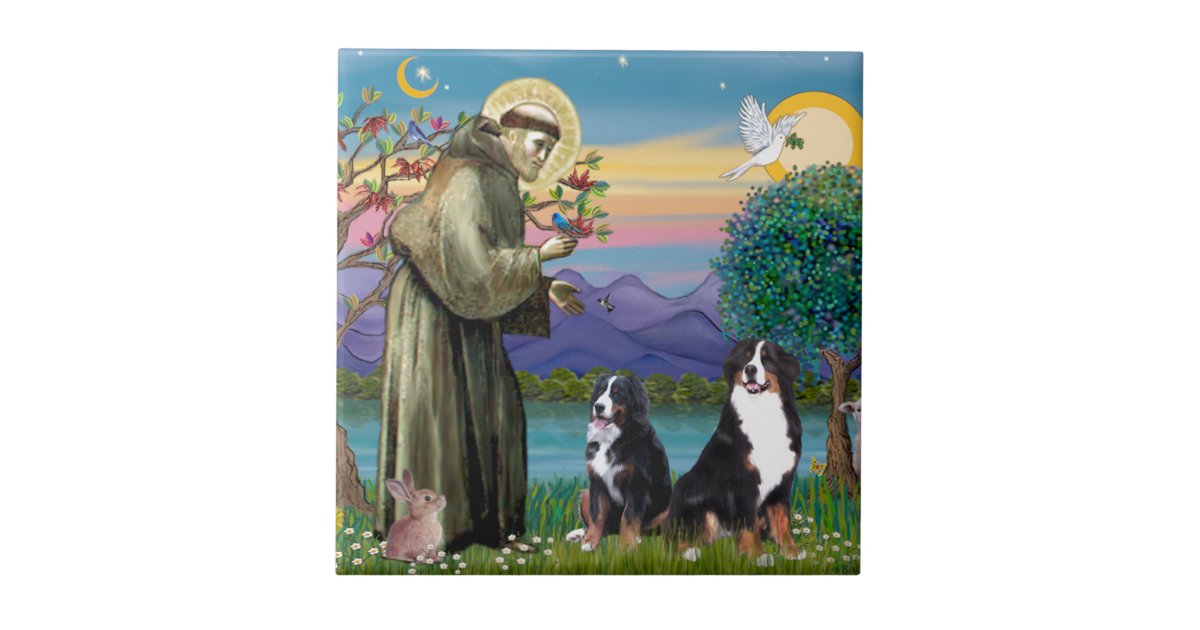 Saint Francis - Two Bernese Mountain Dogs Ceramic Tile | Zazzle
