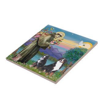 Saint Francis - Two Bernese Mountain Dogs Ceramic Tile | Zazzle