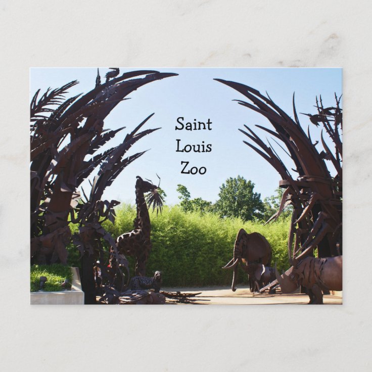 Saint Louis Zoo Postcard | Zazzle