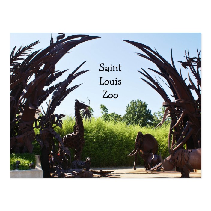 Saint Louis Zoo Postcard | Zazzle.com
