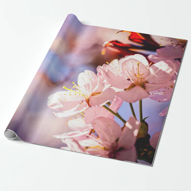 Sakura Blossoms On A Sunny Day Wrapping Paper | Zazzle