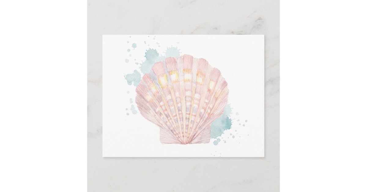 Salento Coast Shell Postcard | Zazzle