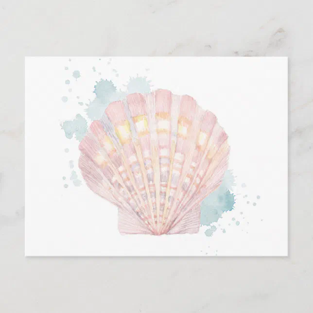 Salento Coast Shell Postcard | Zazzle