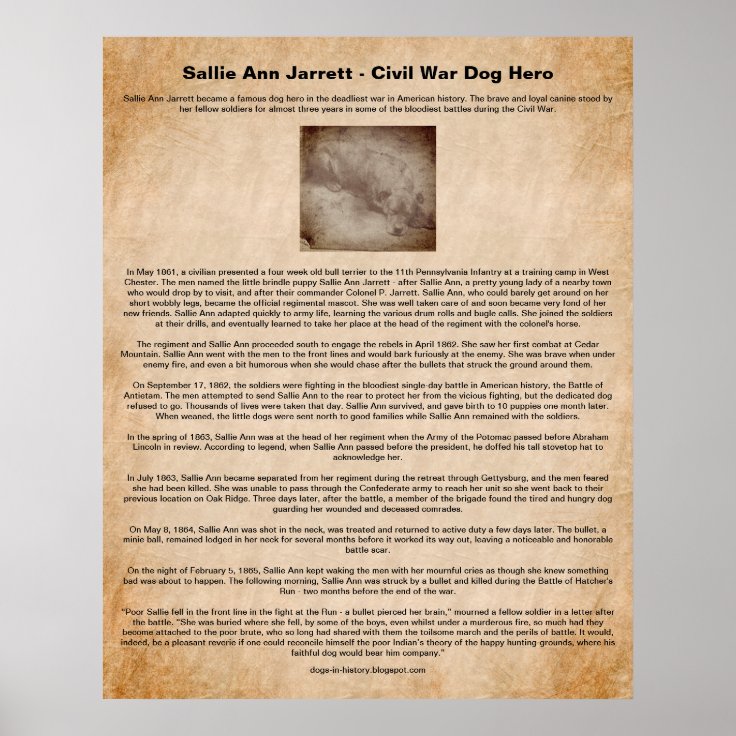 Sallie Ann Jarrett, Civil War Dog Hero Poster | Zazzle