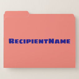 Salmon Background w/ Dark Blue Bold Name File Folder | Zazzle