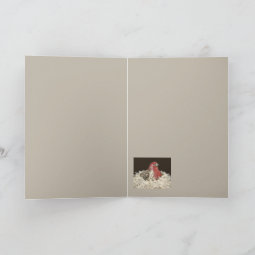 Sam and Sadie card | Zazzle