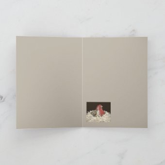 Sam and Sadie card | Zazzle