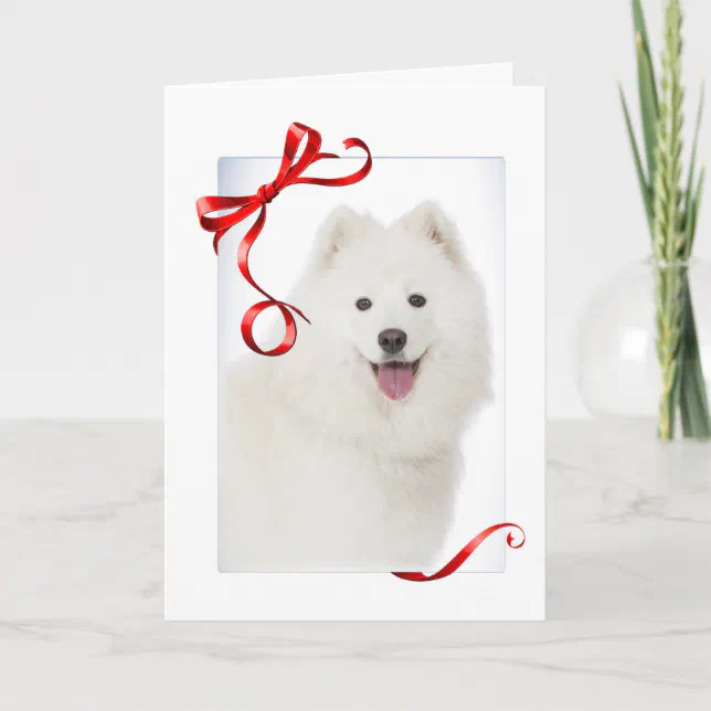 Samoyed Christmas Card | Zazzle