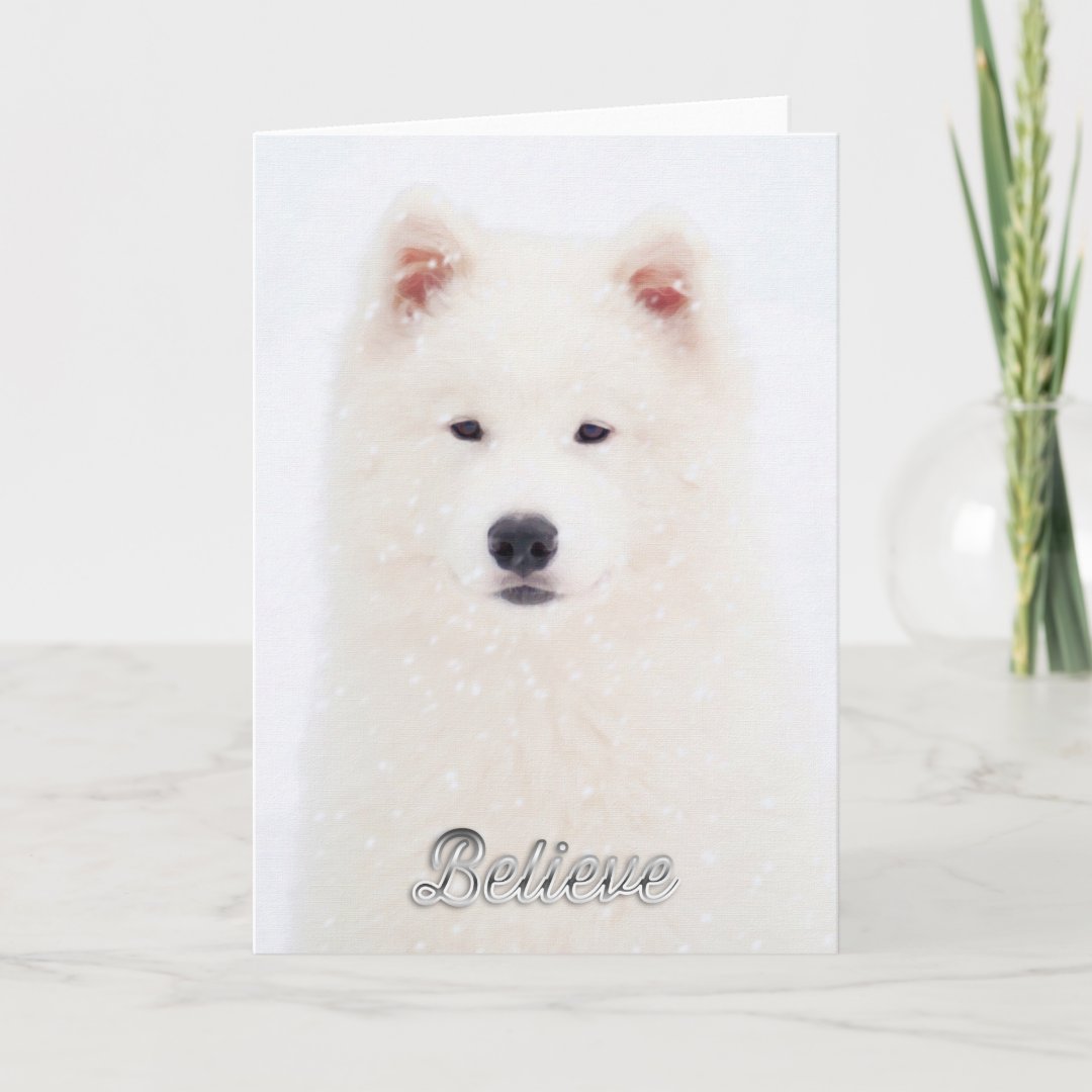 Samoyed Christmas Card | Zazzle