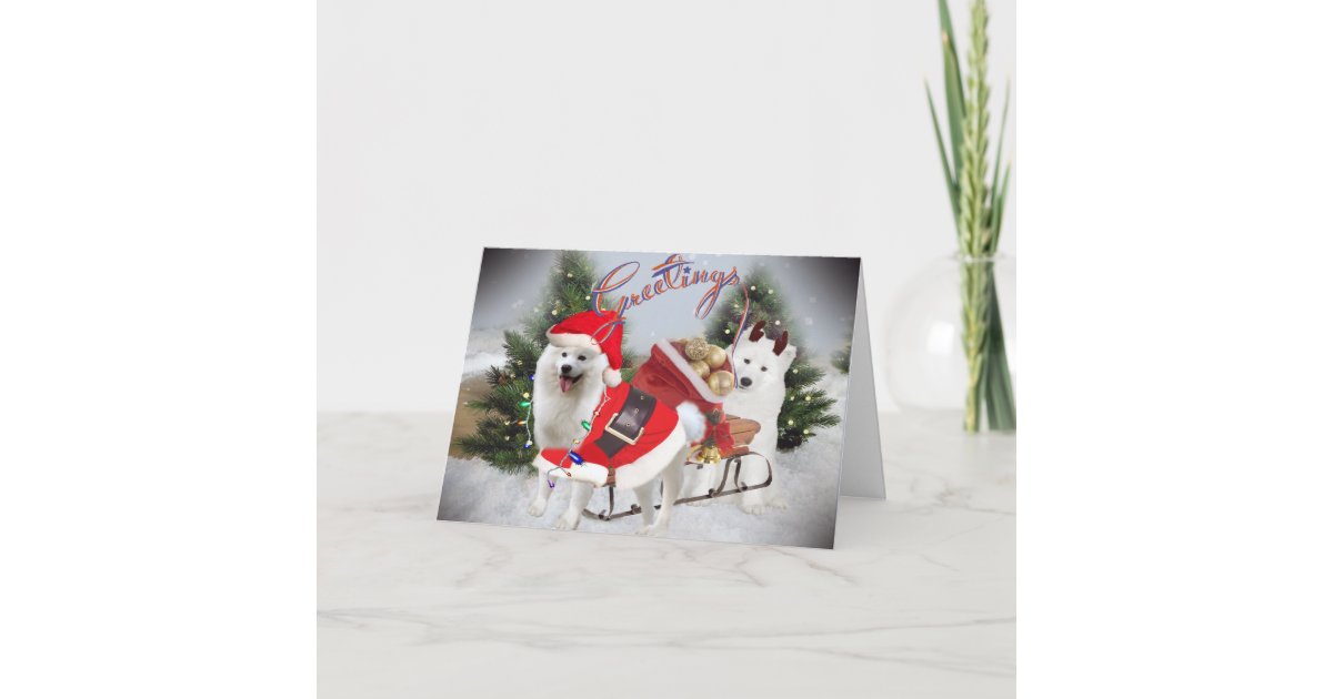 Samoyed Christmas Greetings Cards | Zazzle