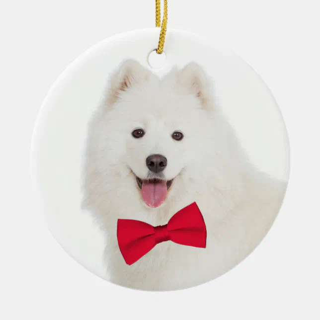 Samoyed Christmas Ornament | Zazzle