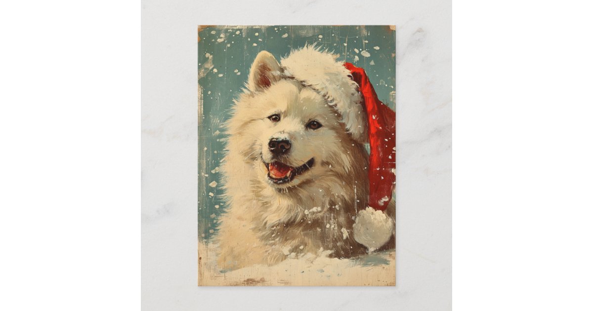 Samoyed christmas postcard | Zazzle