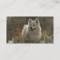 Samoyed Dog Breed Business Card | Zazzle