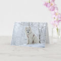 Samoyed dog card | Zazzle