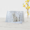 Samoyed dog card | Zazzle