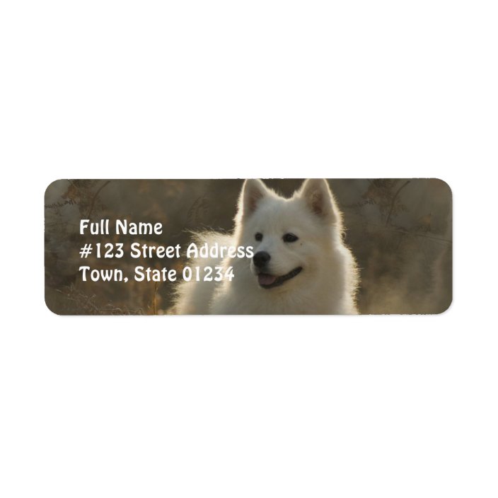 Samoyed Dog Return Address Label | Zazzle.com