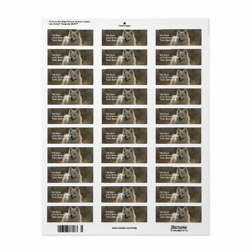 Samoyed Dog Return Address Label | Zazzle