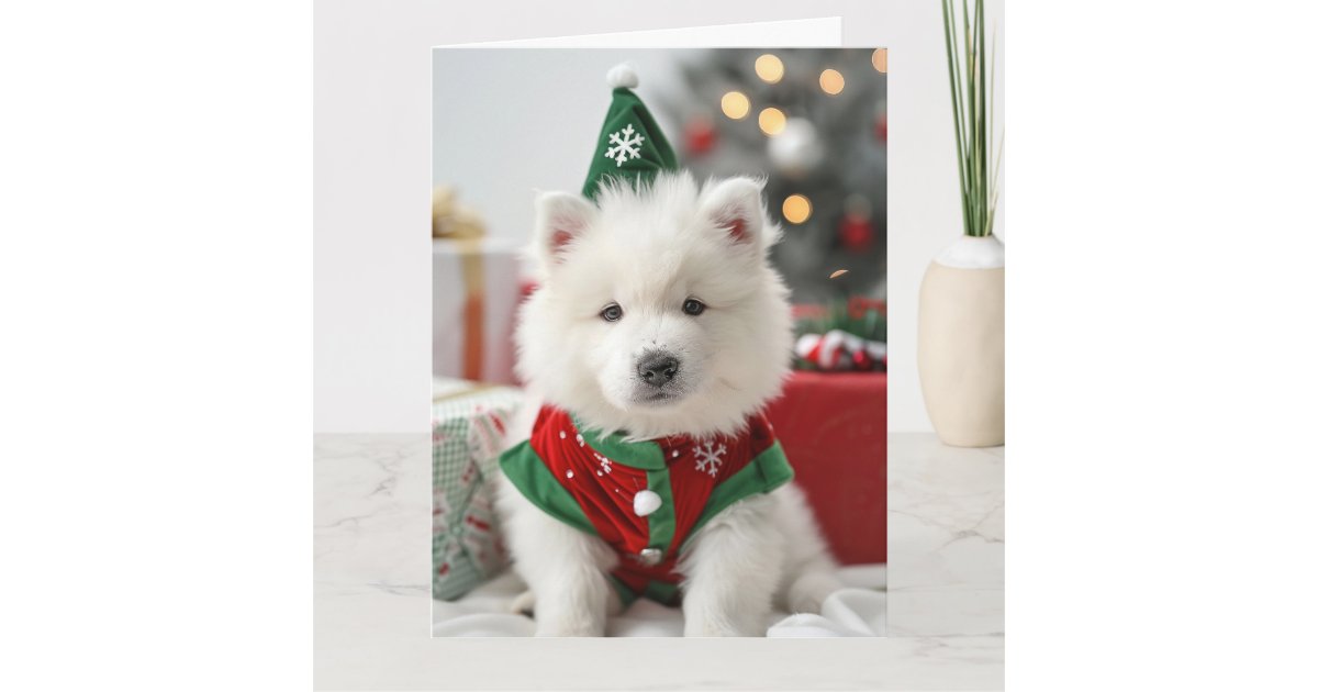 Samoyed Elf Puppy Christmas Card | Zazzle
