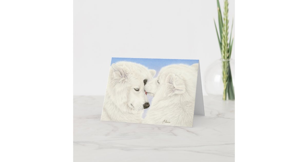 Samoyed Love Greeting Card | Zazzle
