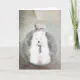 Samoyed Puppy Christmas Card | Zazzle