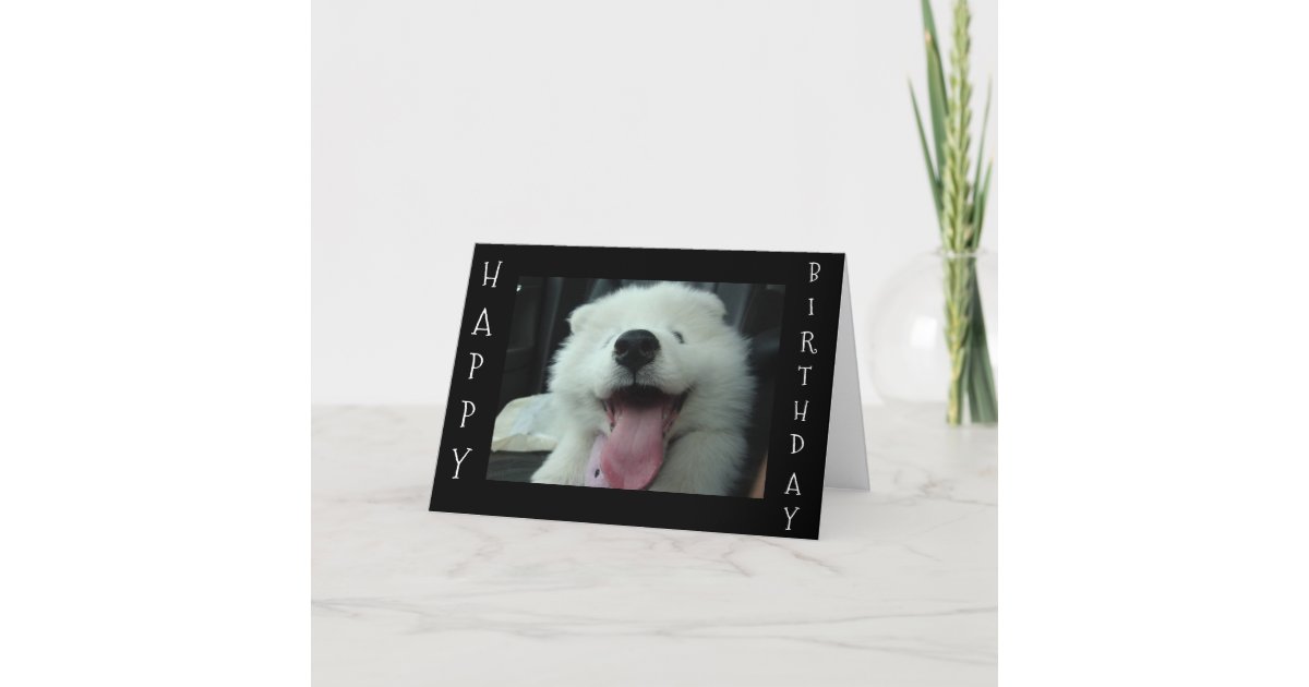 SAMOYED SAYS SAVE ME CAKE/I LOVE U BIRTHDAY WISH CARD | Zazzle