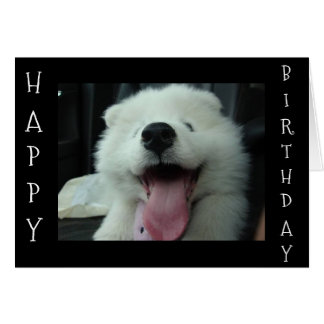 Samoyed Birthday Gifts on Zazzle