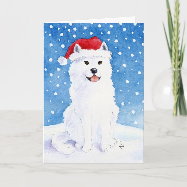 Samoyed snow dog card | Zazzle