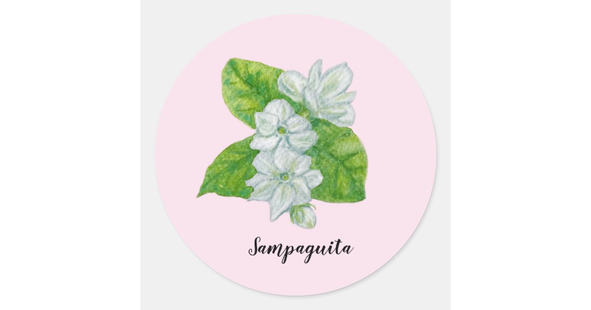 Sampaguita Sticker | Zazzle