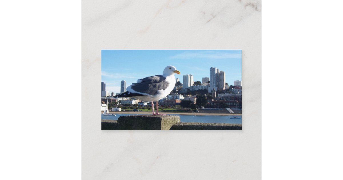 san francisco birds view business card | Zazzle