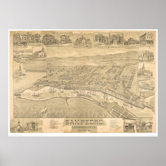 San Pedro, CA. Panoramic Map 1895 (1319A) Poster | Zazzle.com