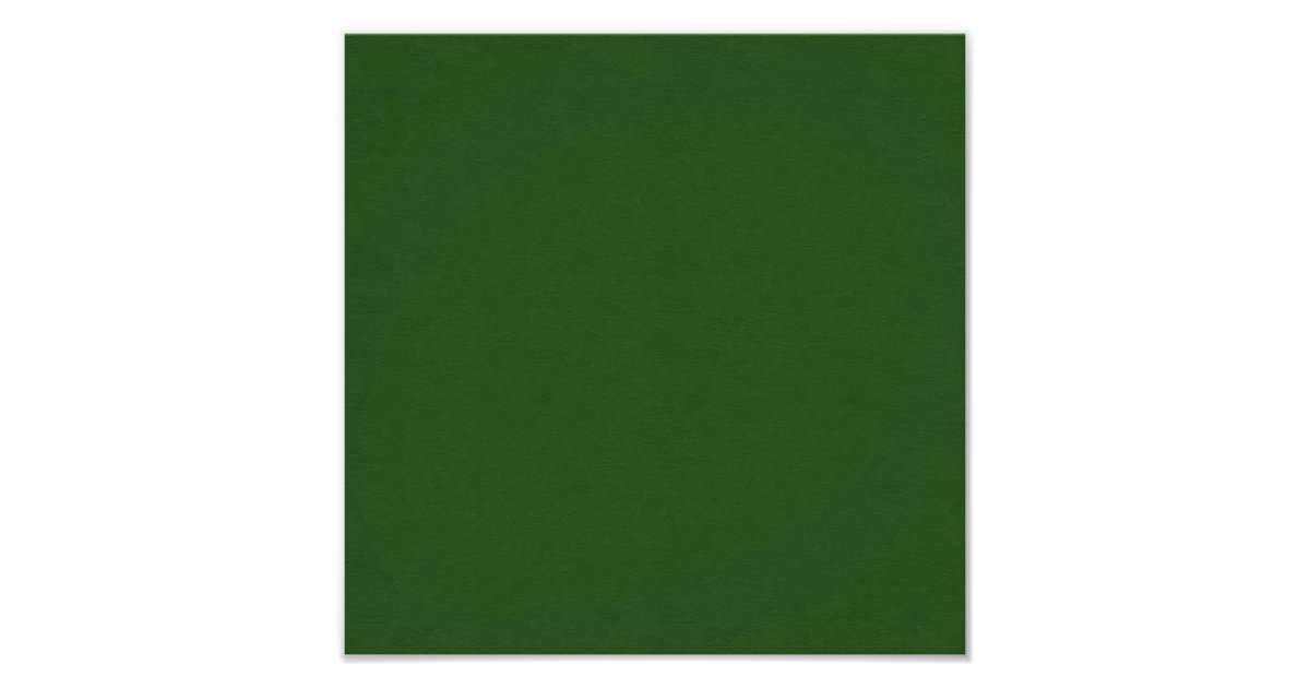 SAND AND BEACH SOLID DARK FOREST GREEN BACKGROUND PHOTO PRINT | Zazzle