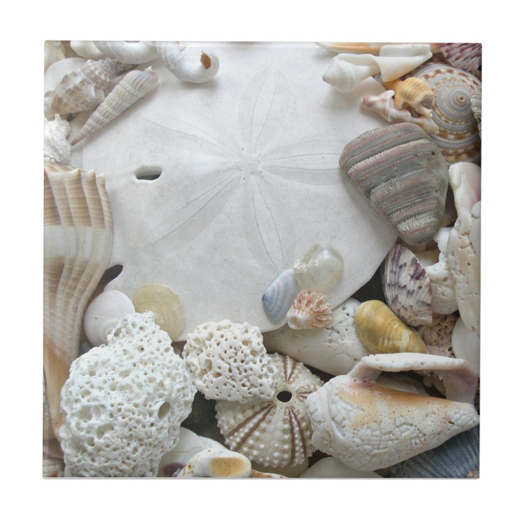 Sand Dollar and Seashells Ceramic Tile | Zazzle