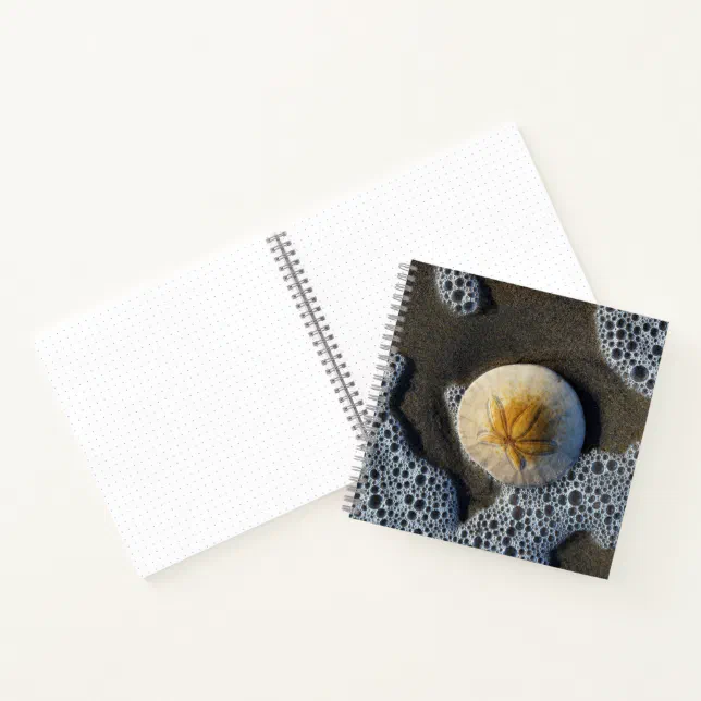 Sand Dollar and Surf Beach Photo 8x8 Notebook | Zazzle