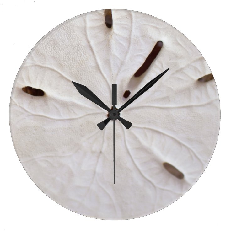 Sand Dollar Beach Coastal White Grey Trendy Cool Large Clock | Zazzle