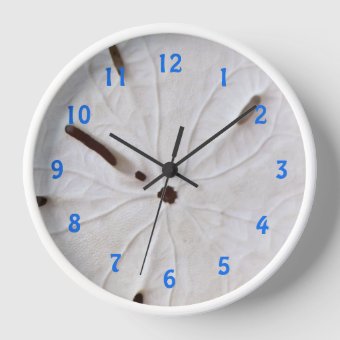 Sand Dollar Beach Coastal White Grey Trendy Cute Clock | Zazzle