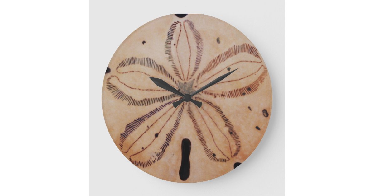 Sand Dollar Clock | Zazzle