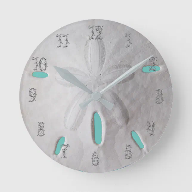 Sand dollar ocean beach white turquoise round clock | Zazzle