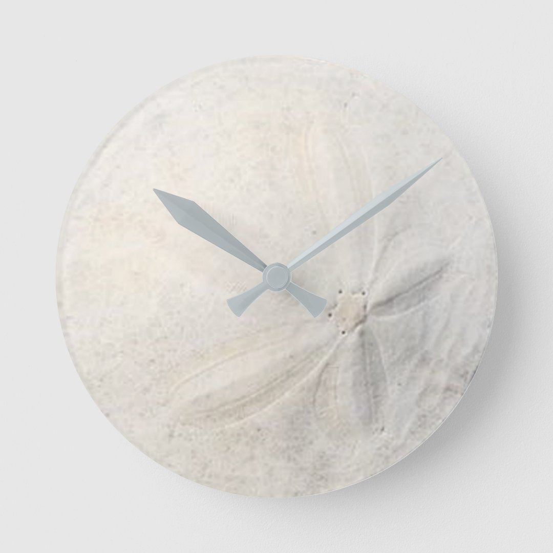 Sand Dollar Round Clock | Zazzle