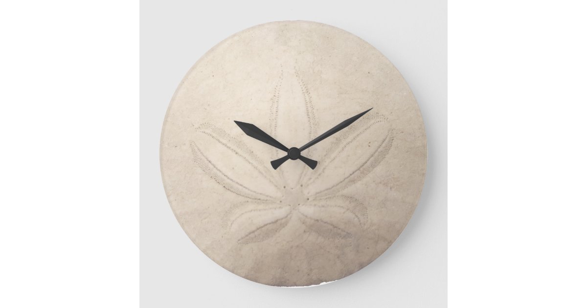 Sand Dollar Round Clock | Zazzle