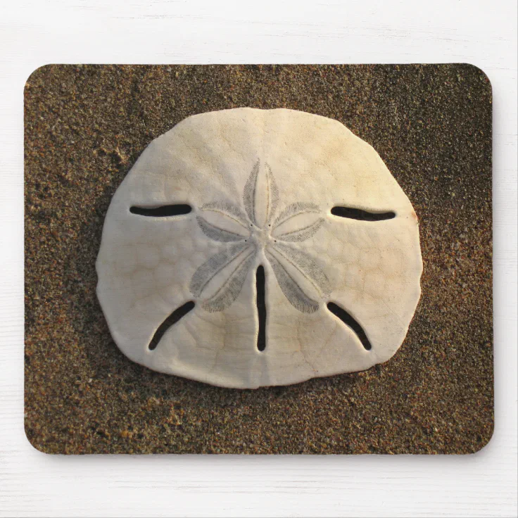Sand Dollar Sea Shell Sand Beach Mousepad | Zazzle