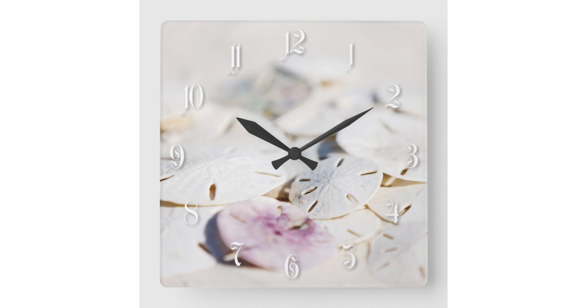 Sand dollars square wall clock | Zazzle