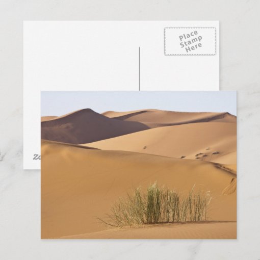Sand dunes, Sahara desert, Morocco Postcard | Zazzle