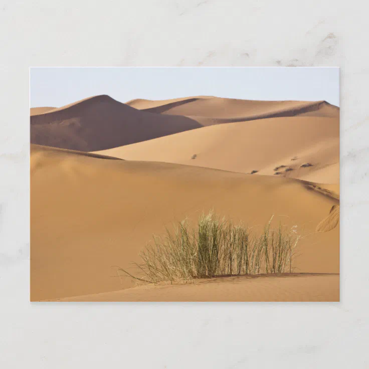 Sand dunes, Sahara desert, Morocco Postcard | Zazzle