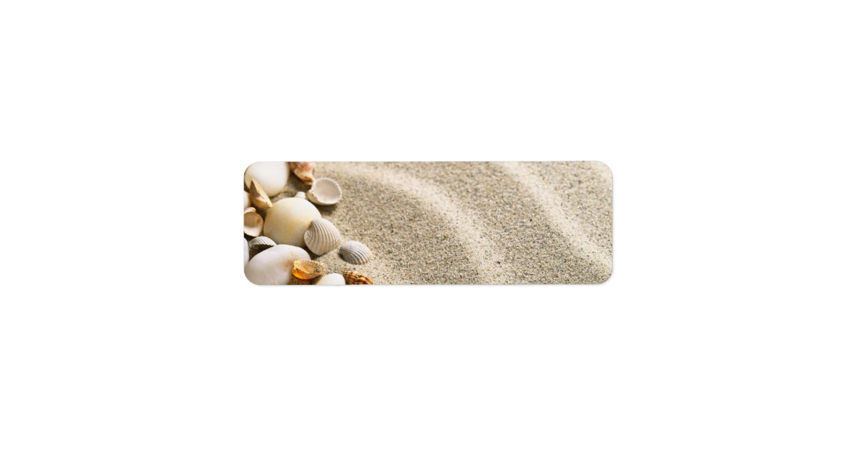 Sand With Shells And Stones. Beach Composition Label | Zazzle