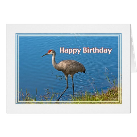 Sandhill Crane Birthday Card | Zazzle.com